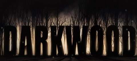 Darkwood Gameplay: Immersive Horror Survival | Let the Fear Begin | OMG ...